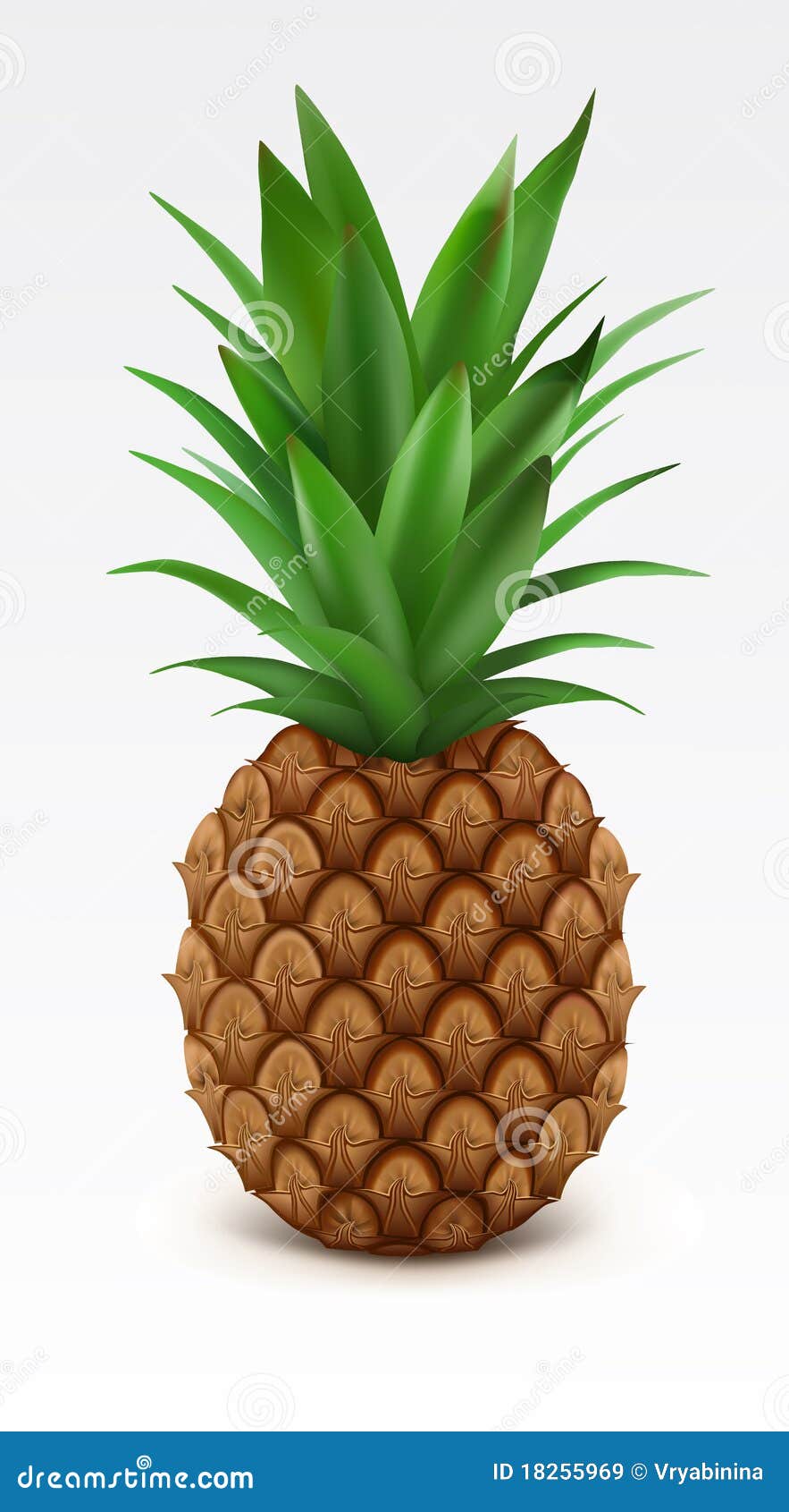 Pineapple stock vector. Illustration of yellow, single - 18255969