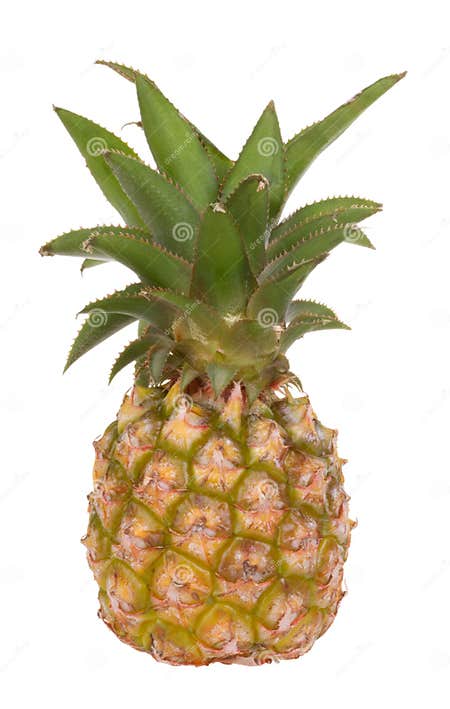 Pineapple stock image. Image of freshness, close, juice - 18416149