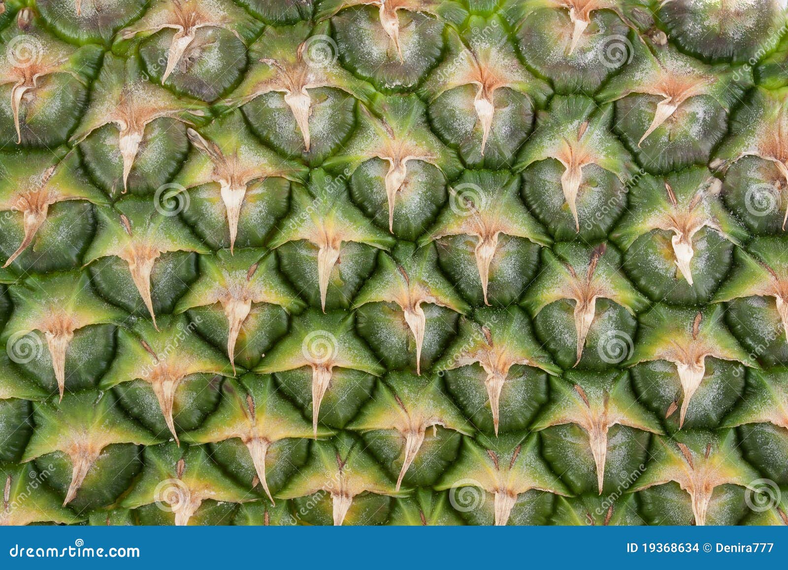 Pineapple stock photo. Image of texture, brown, ripe - 19368634