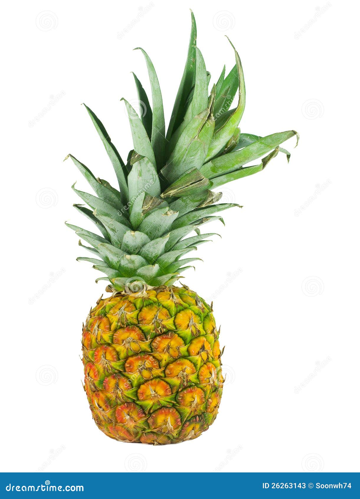 Pineapple stock image. Image of riped, full, studio, single - 26263143