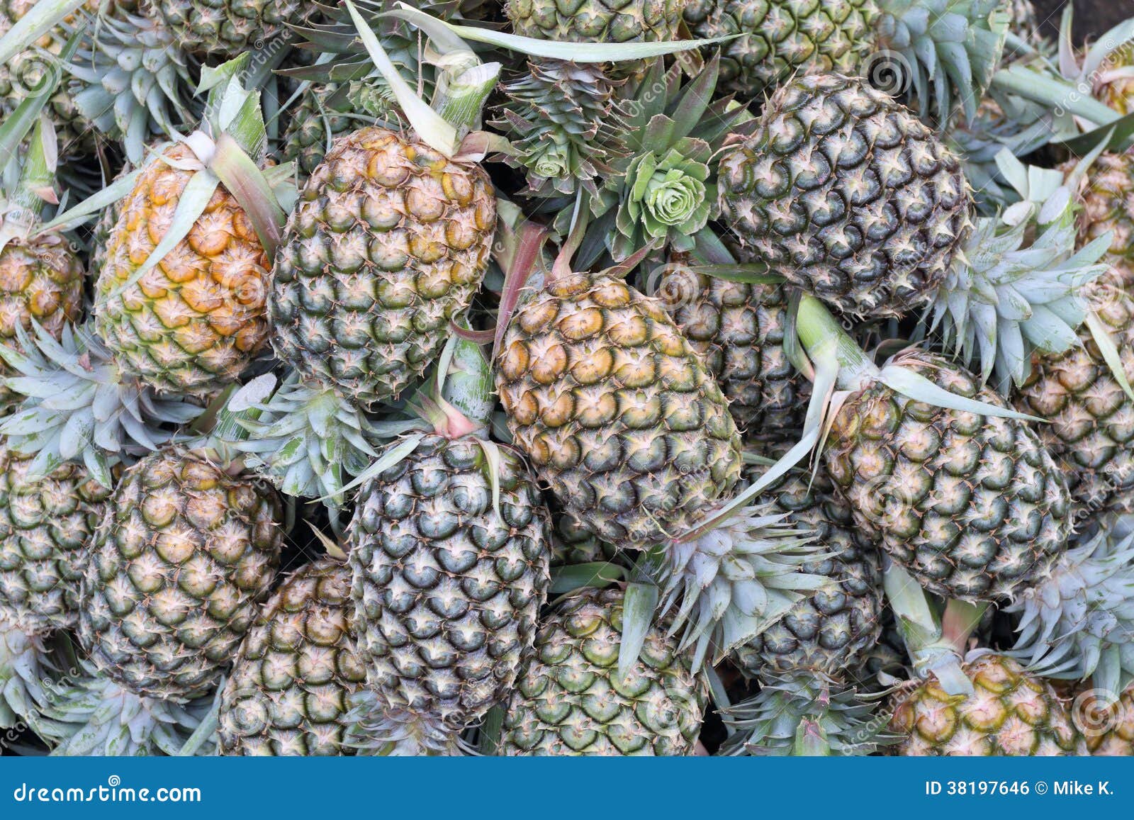 Pineapple stock photo. Image of eating, life, organic - 38197646