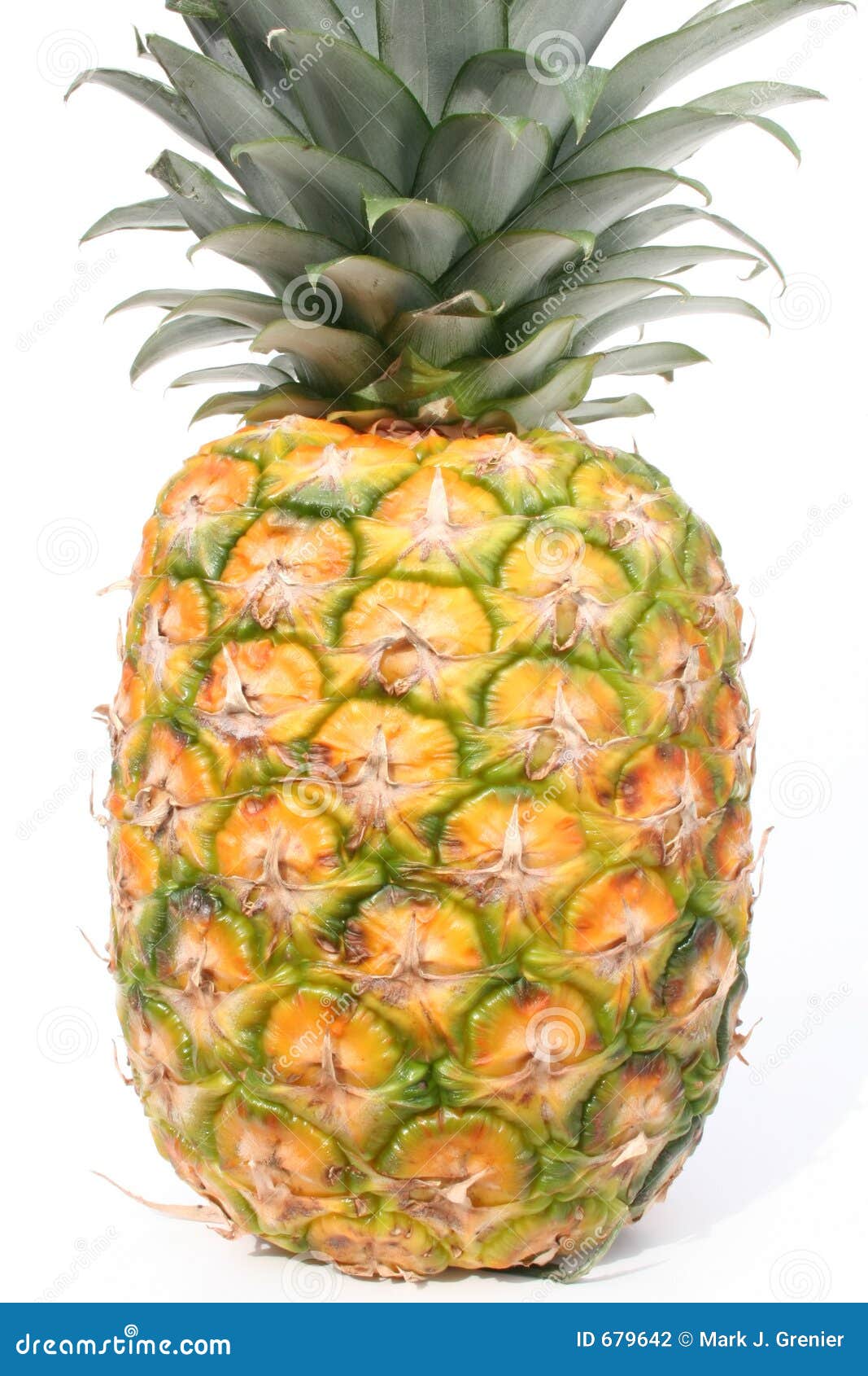Pineapple stock photo. Image of plant, diet, nutritious - 679642