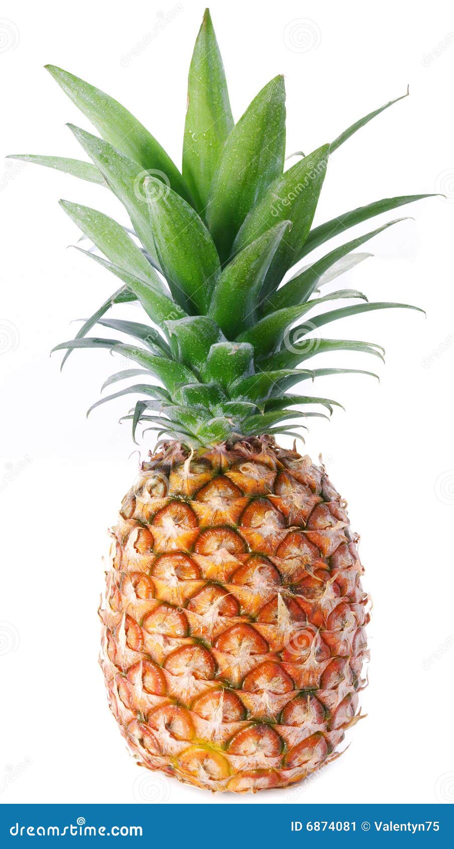 Pineapple stock image. Image of organic, ripe, length - 6874081