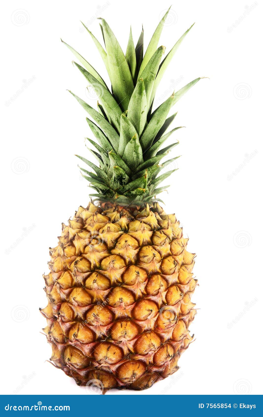 One Whole Pineapple with Top on on a White Background Stock Photo ...