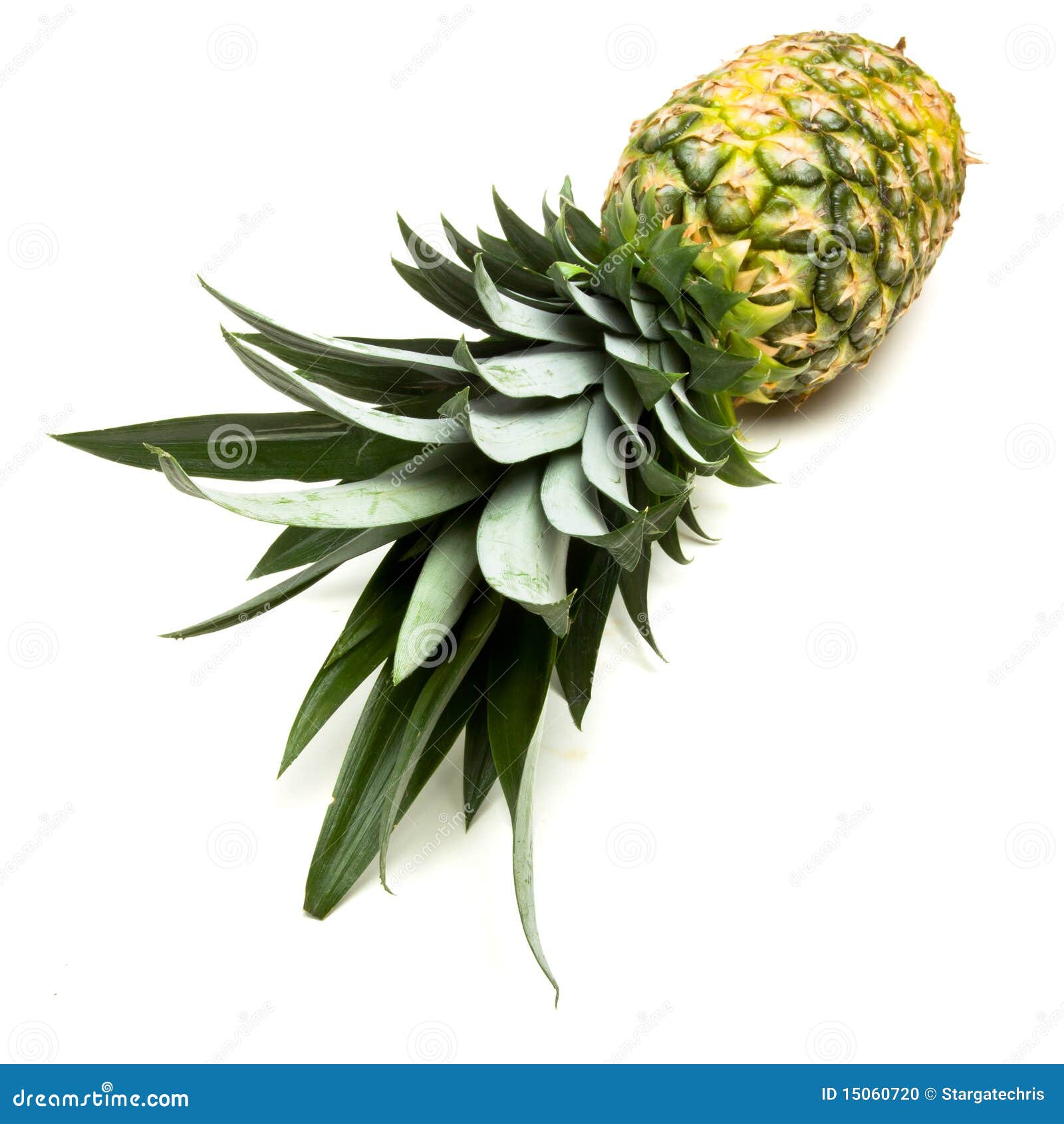 Pineapple Abstract stock photo. Image of perspective - 15060720