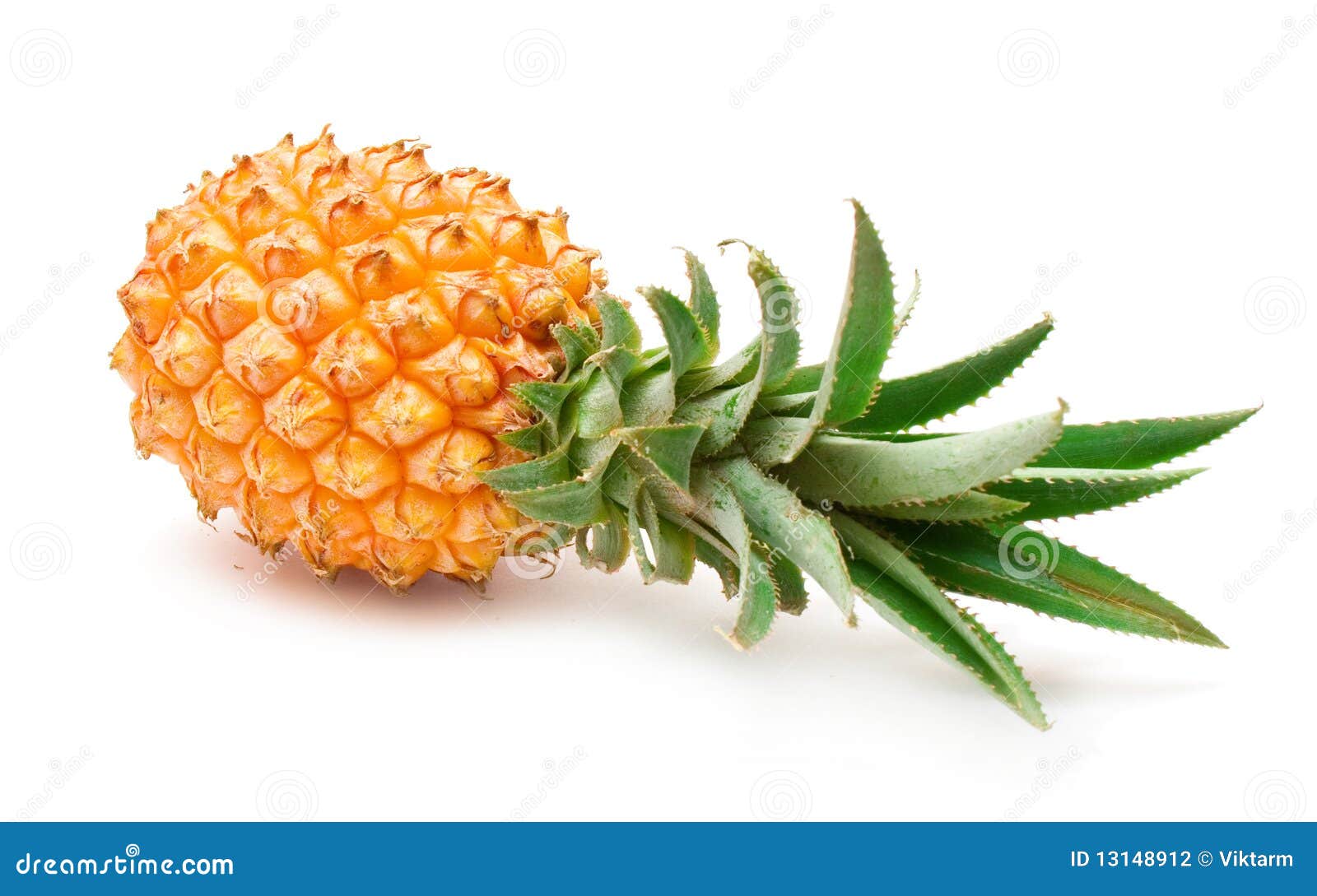 Pineapple (ananas) stock photo. Image of food, delicious - 13148912