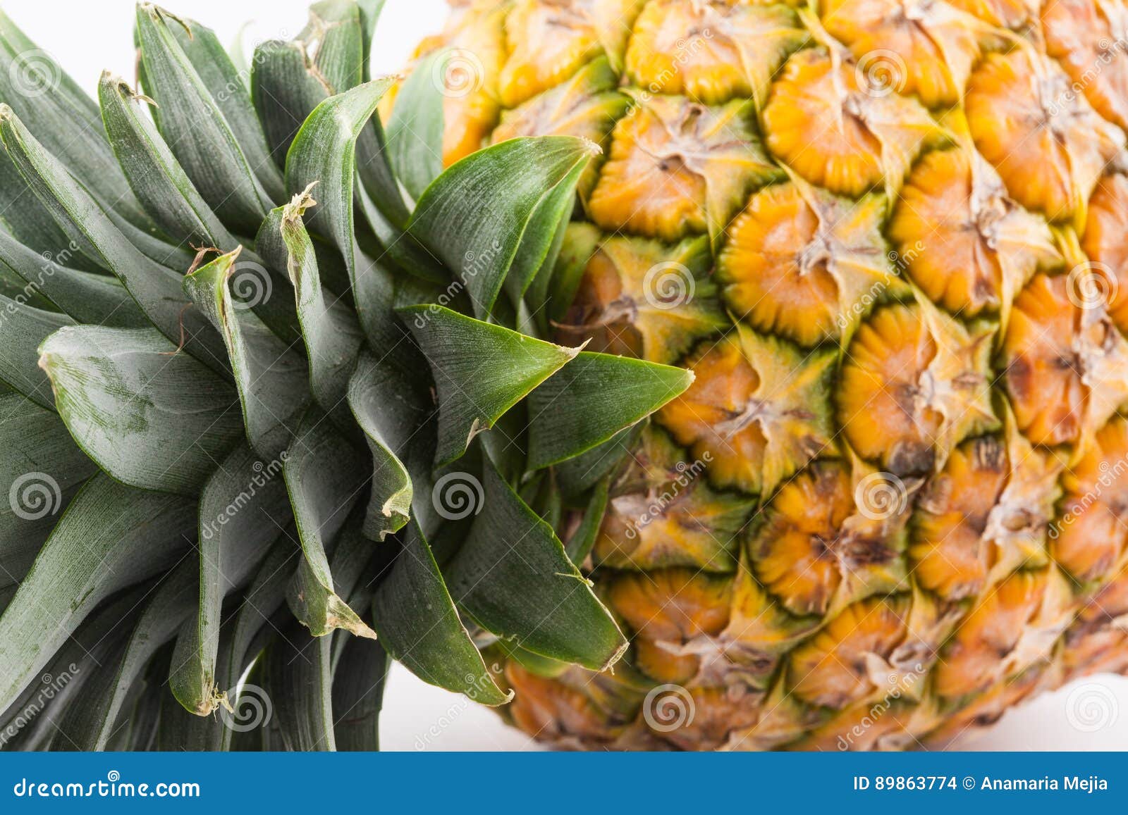 Pineapple Ananas Comosus Round Slice, Top Stock Photography ...