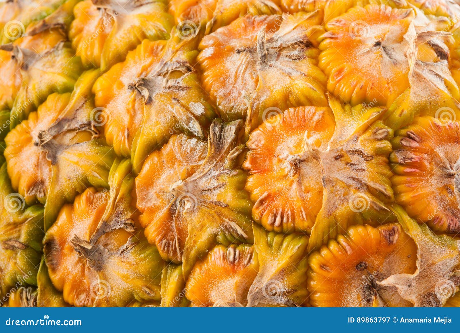 Pineapple Ananas comosus stock image. Image of american - 89863797