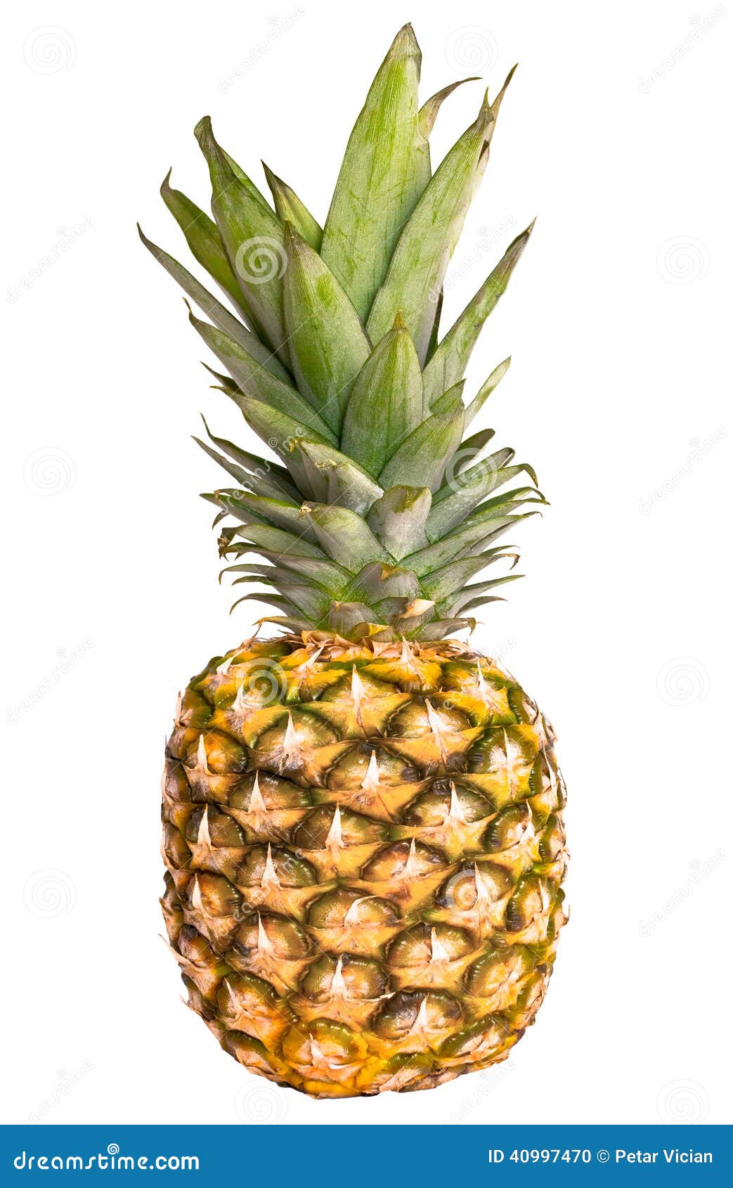Pineapple Ananas Comosus Round Slice, Top Stock Photography ...