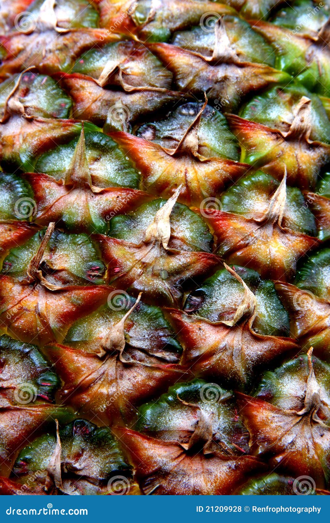 Pineapple Background Closeup Stock Photo - Image of fruit, closeup ...