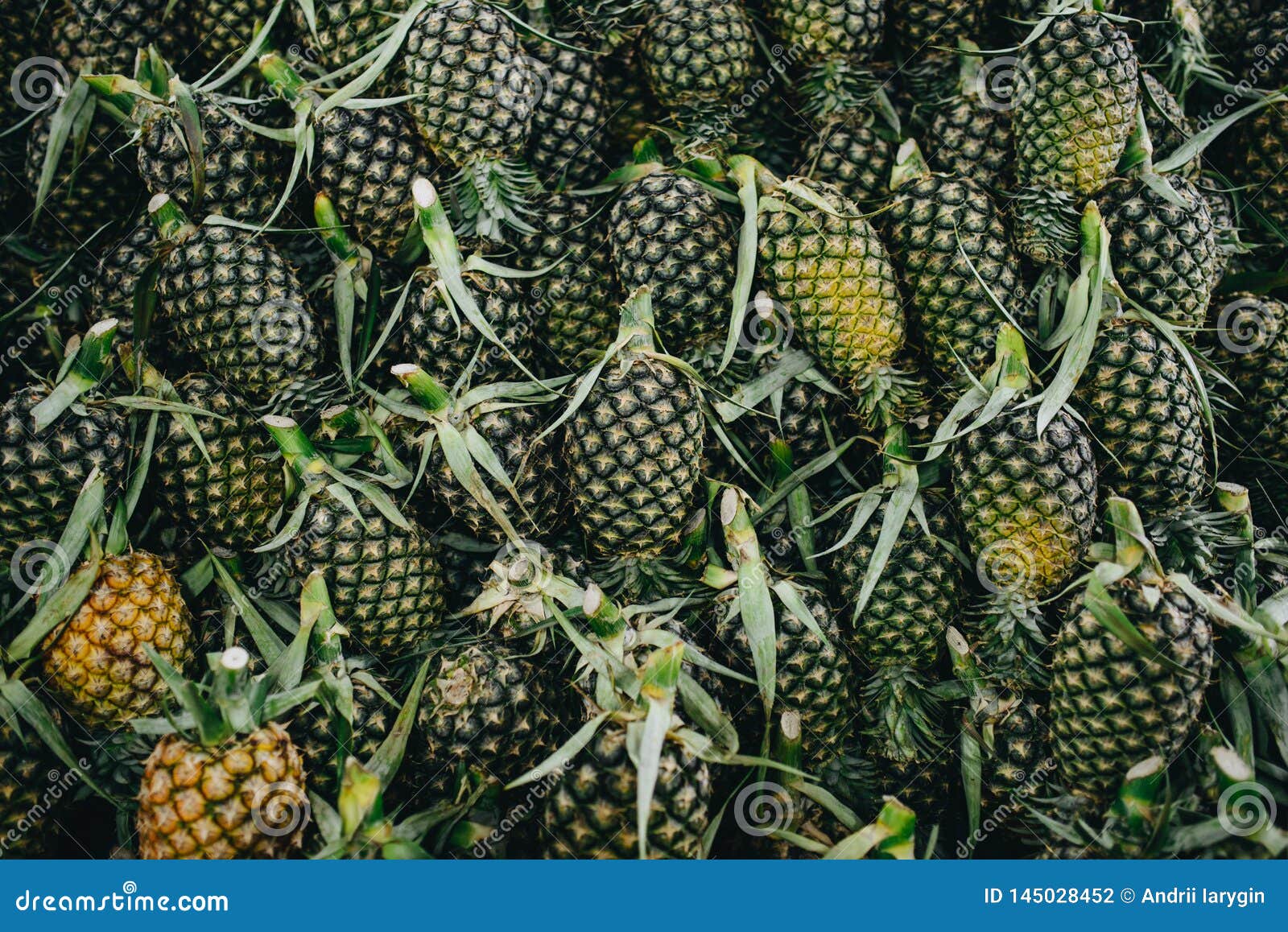 Pineapple Background Stock Image | CartoonDealer.com #74761507