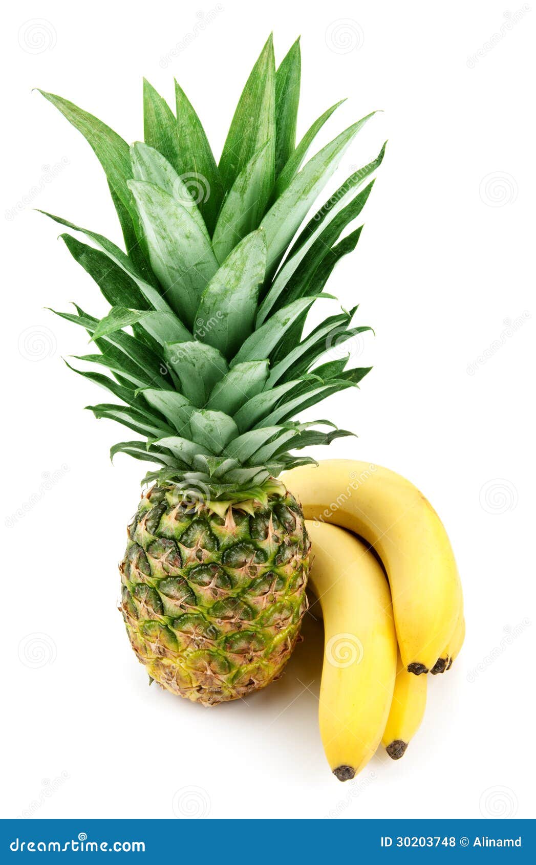 Pineapple and bananas stock photo. Image of healthy, dessert - 30203748