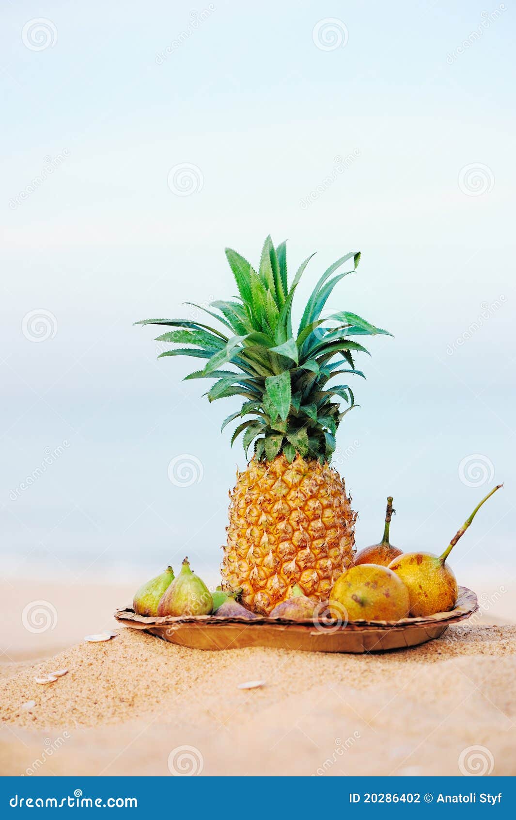 Pineapple on the beach stock photo. Image of pineapple - 20286402