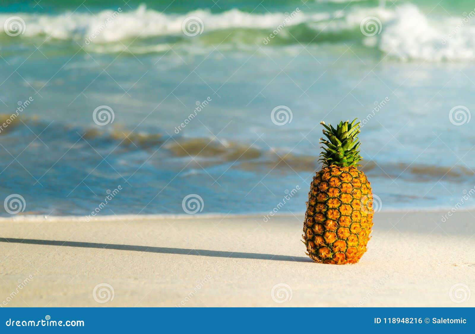 Pineapple on the beach stock photo. Image of delicious - 118948216