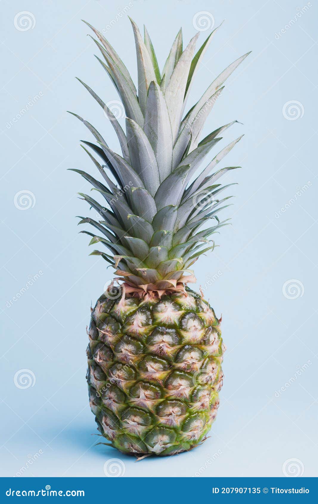 Pineapple on the Blue Background Stock Image - Image of background ...