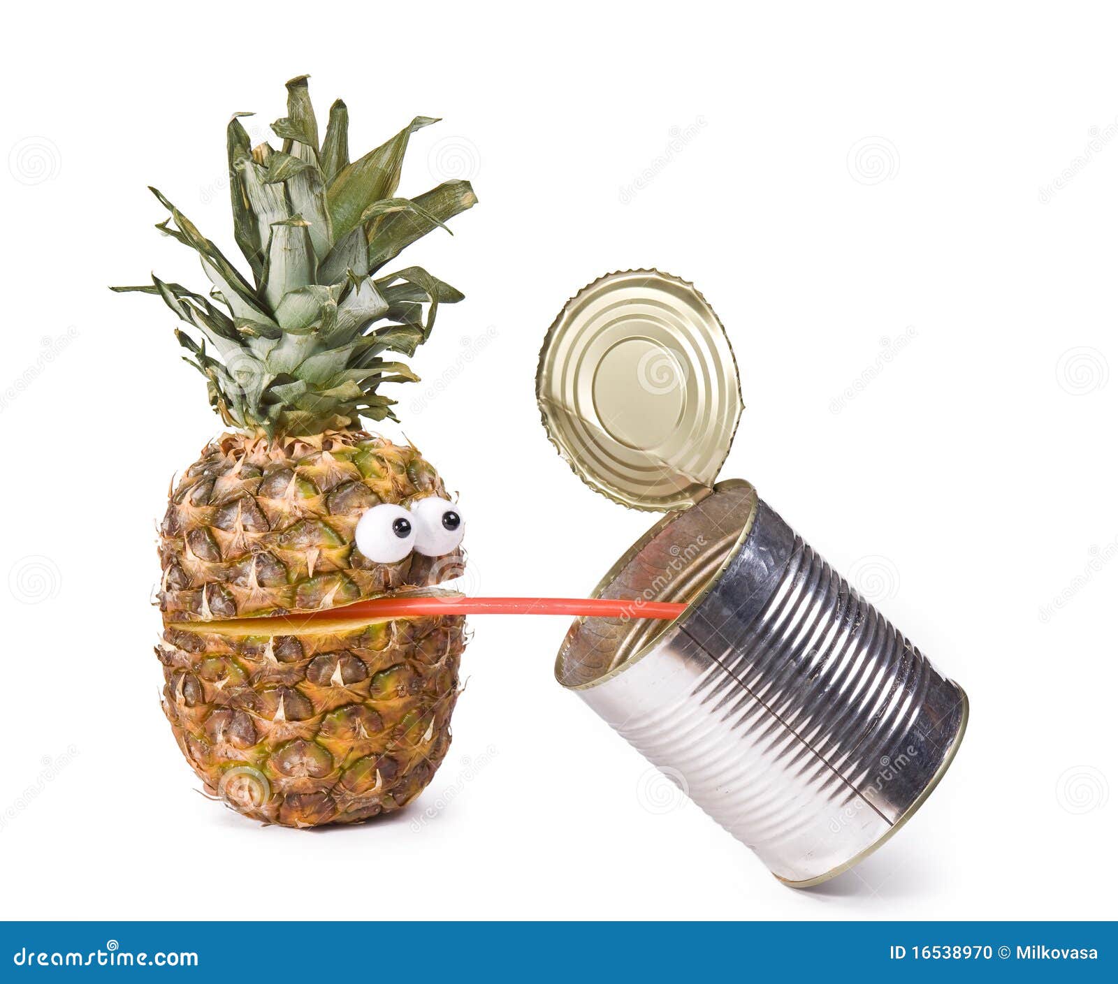 Pineapple with can stock photo. Image of agriculture - 16538970