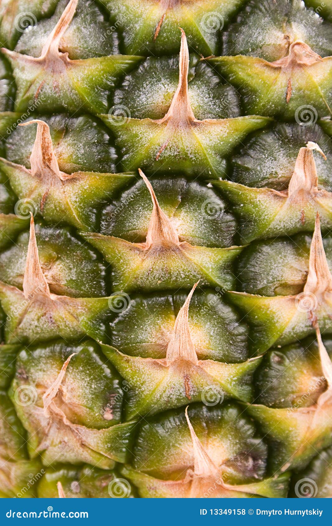 Pineapple close up 2 stock photo. Image of texture, nutrient - 13349158