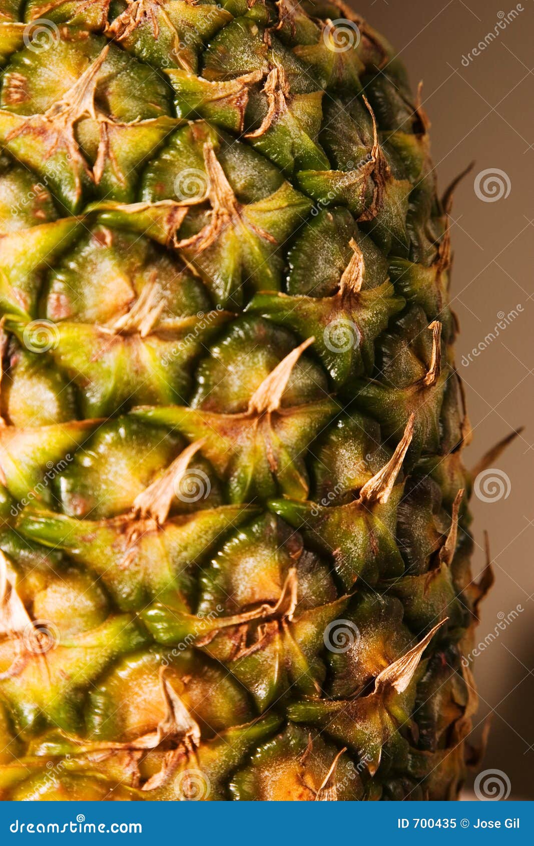 Pineapple Close Up 2 stock image. Image of hawaii, pointy - 700435