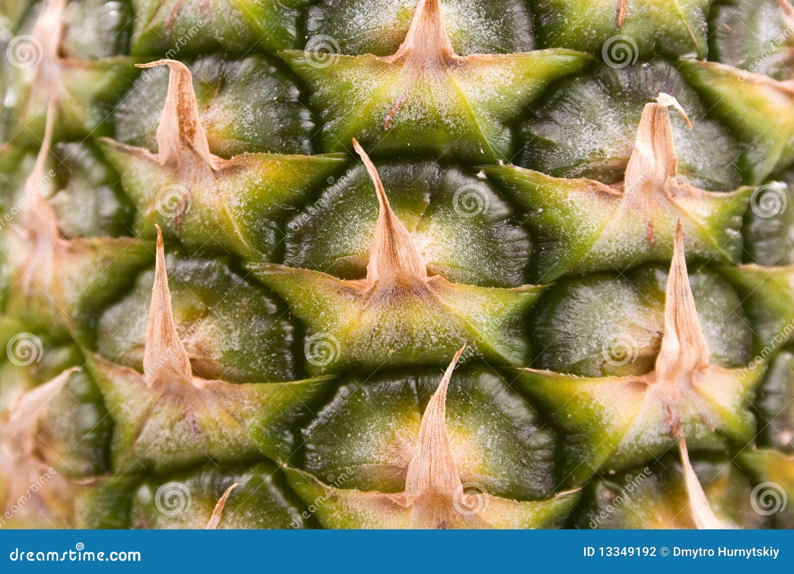 Pineapple close up 3 stock photo. Image of close, healthy - 13349192