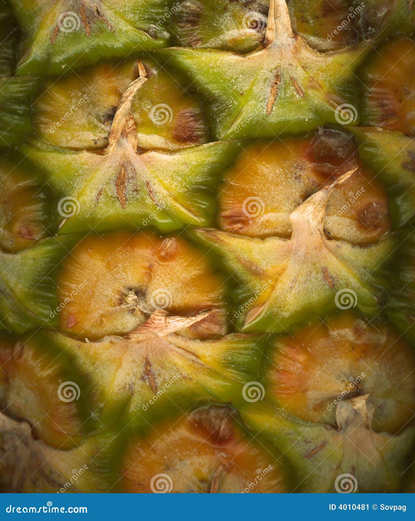 Pineapple close-up stock image. Image of ripe, orchard - 4010481
