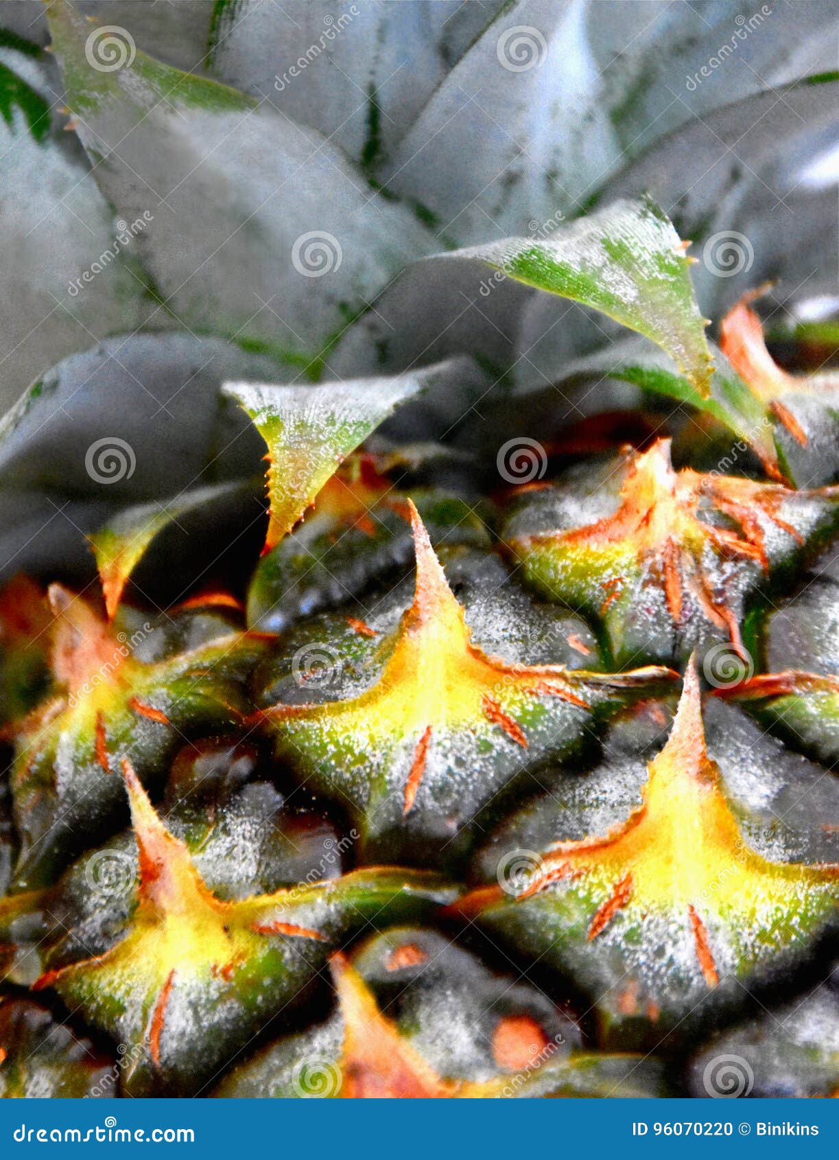 Pineapple Close Up stock photo. Image of fruit, diet - 96070220