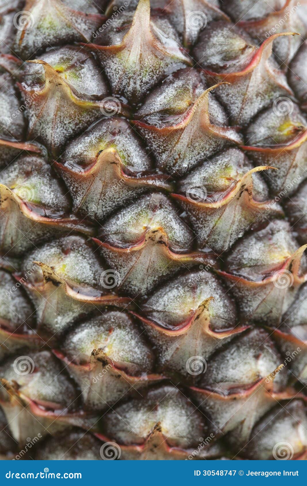 Pineapple stock image. Image of healthy, closeup, refreshment - 30548747