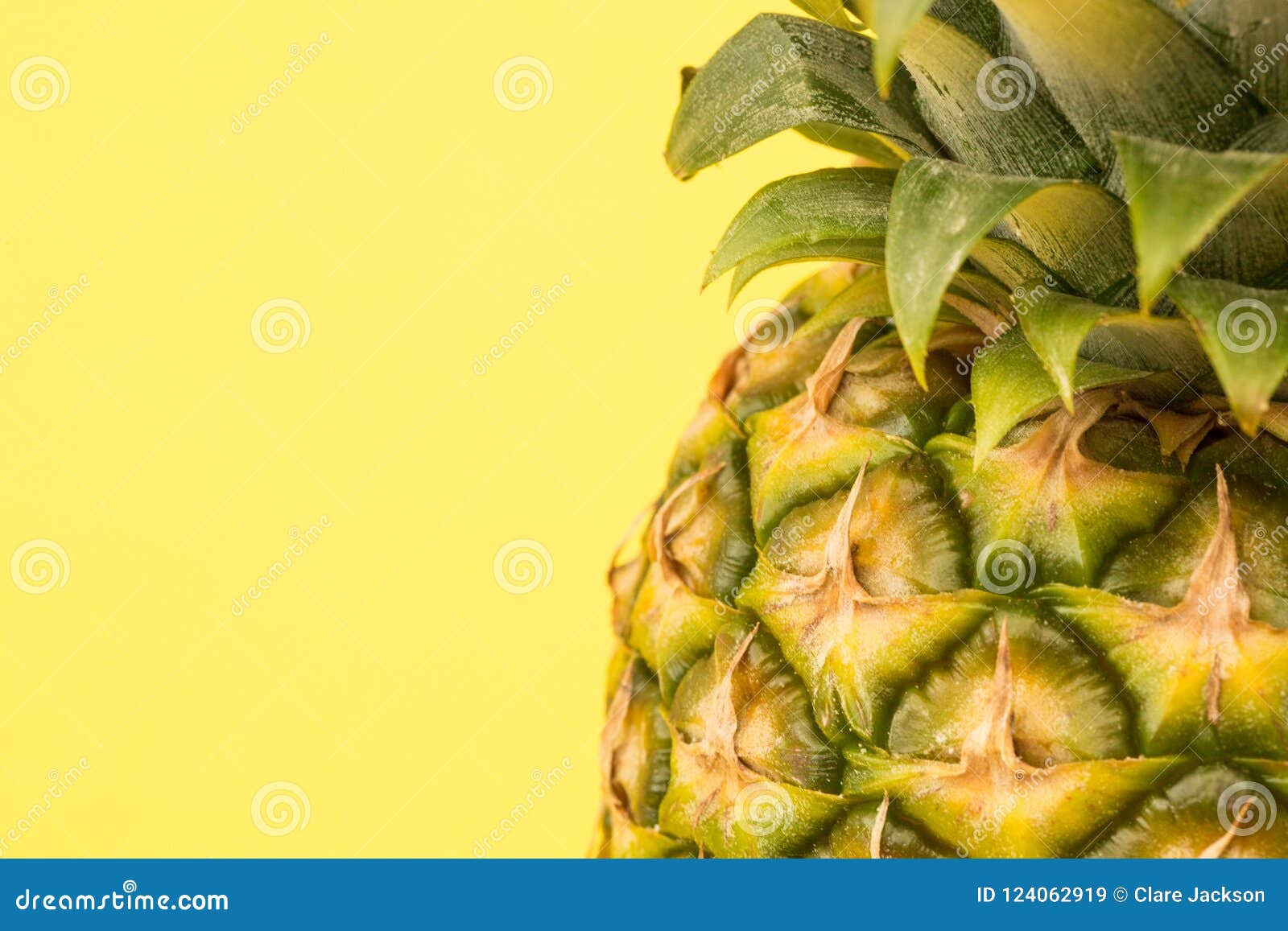 Pineapple close up stock image. Image of skin, diet - 124062919