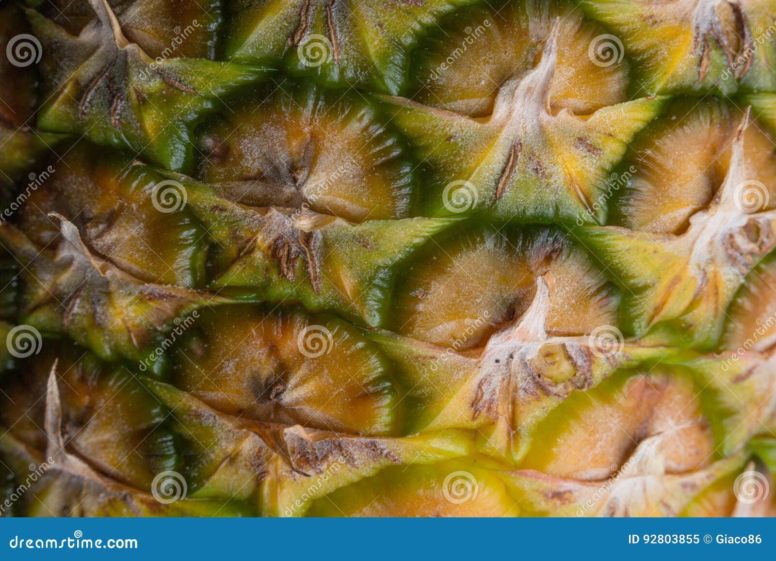 Pineapple Close Up - Tropical Fruit Texture Stock Image - Image of ...