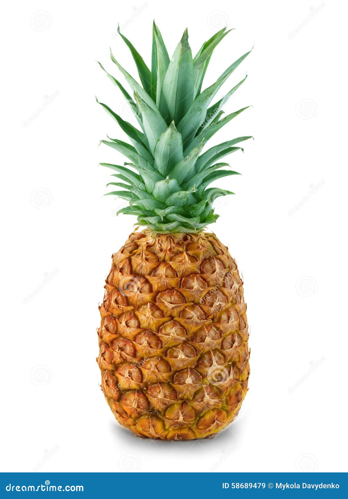 Pineapple close-up stock image. Image of natural, fruit - 58689479