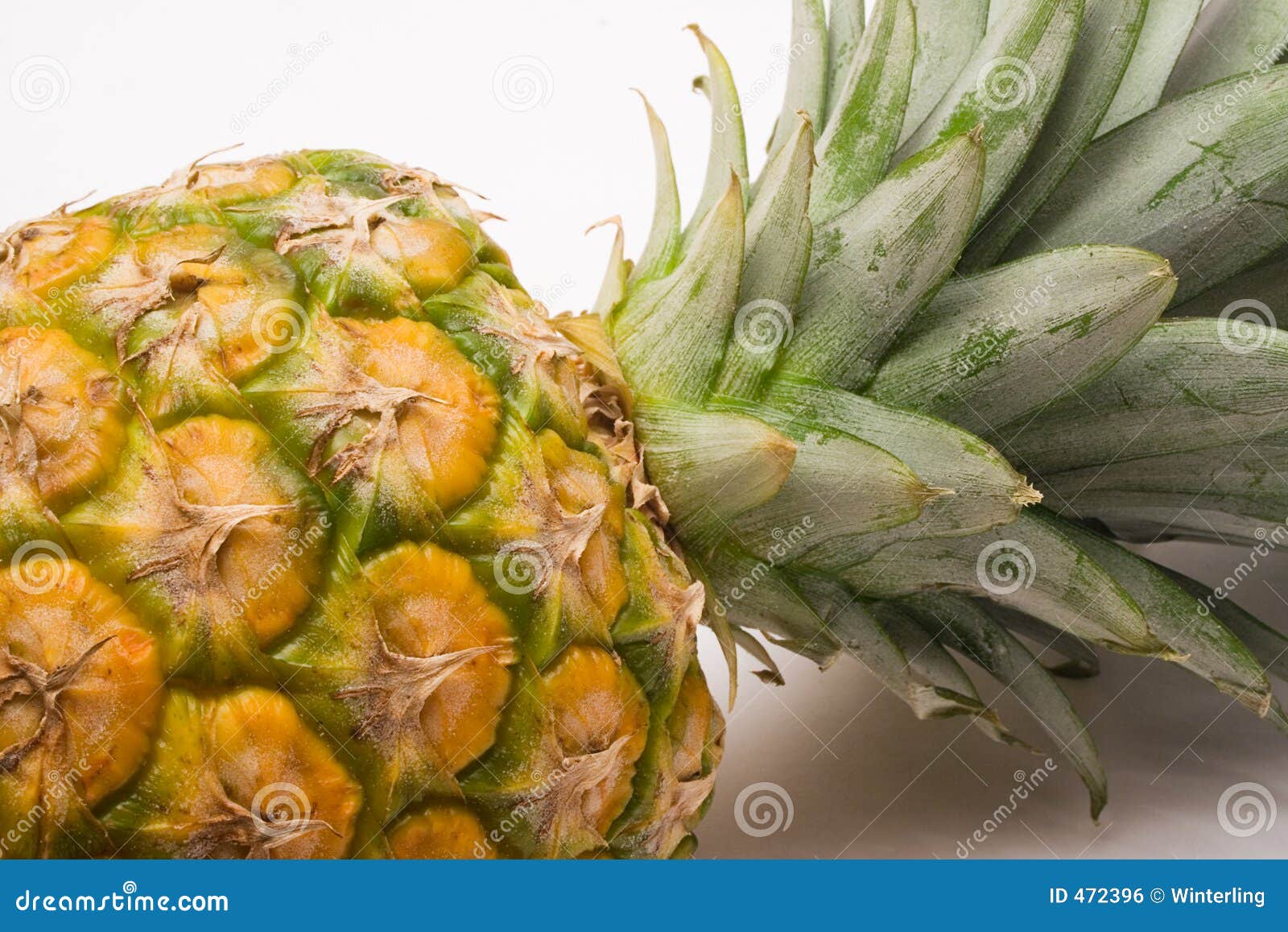 Pineapple (Close View) stock photo. Image of pine, fruit - 472396