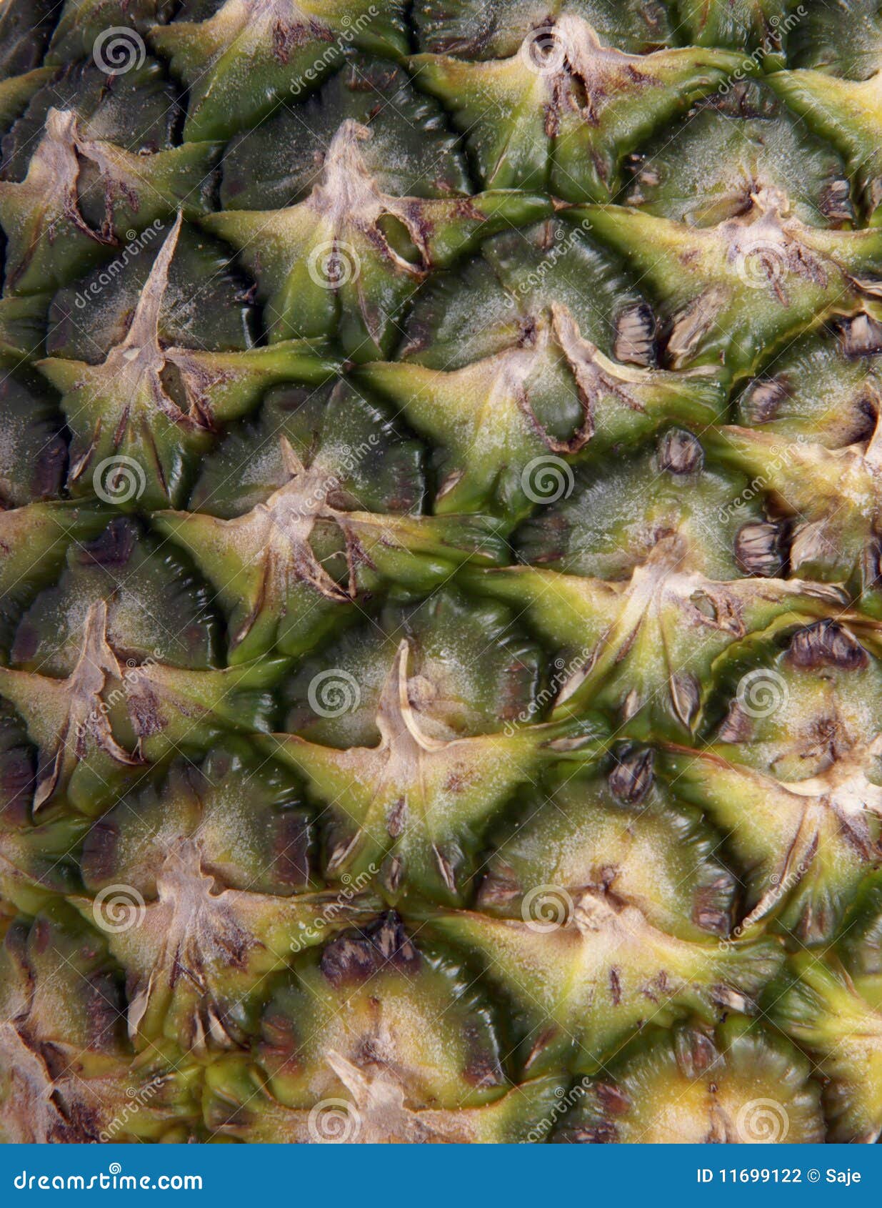 Pineapple Closeup stock photo. Image of white, abstract - 11699122