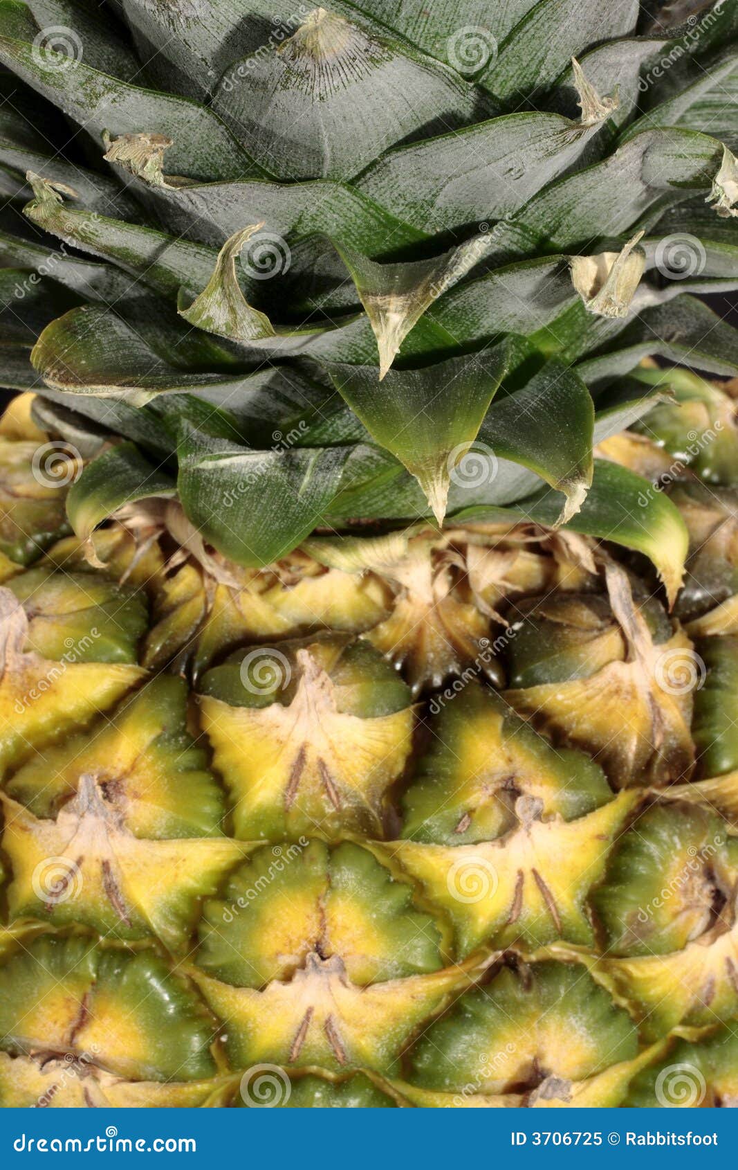 Pineapple closeup stock image. Image of background, nutritious - 3706725