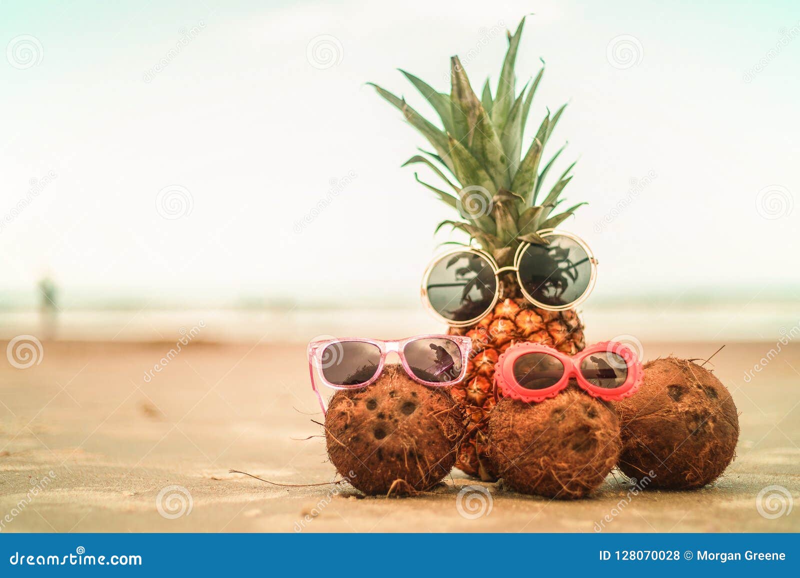 Pineapple and Coconuts Wearing Sunglasses on Sandy Beautiful Bea Stock ...