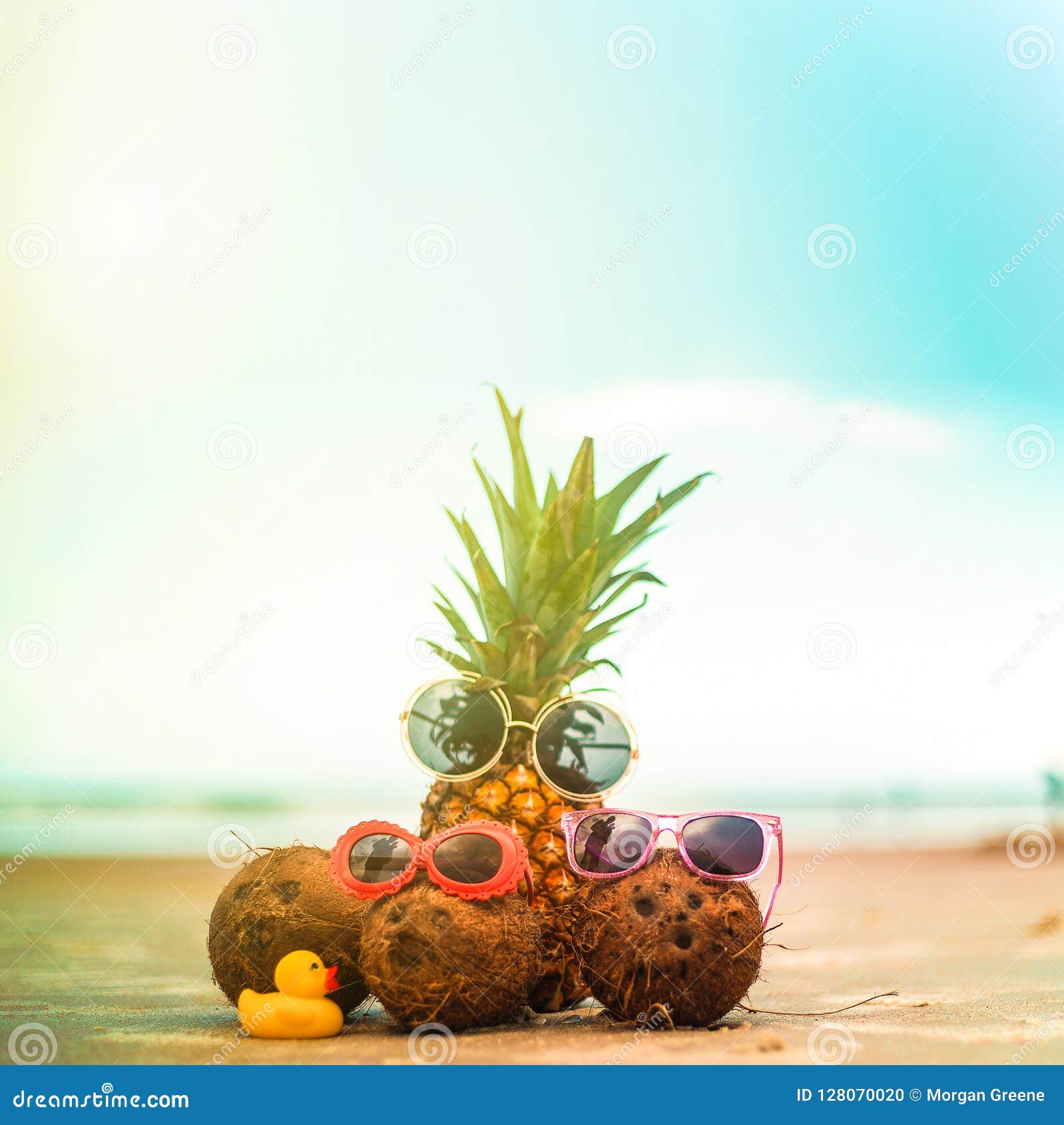 Pineapple and Coconuts Wearing Sunglasses Vacationing on Carribe Stock ...