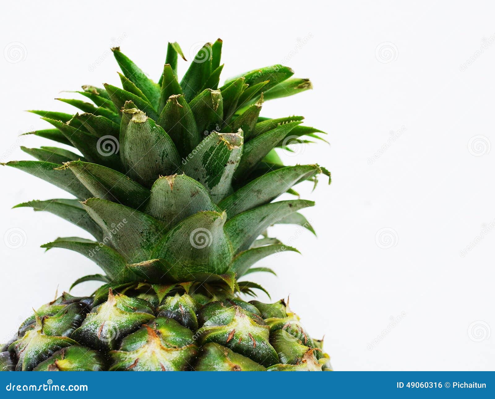 Pineapple cone stock photo. Image of vitamins, tropical - 49060316