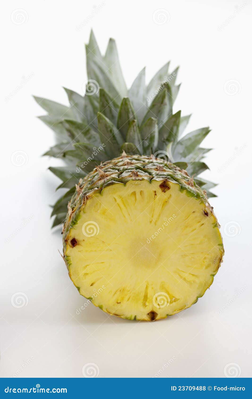 Pineapple cut in half stock photo. Image of focus, selective - 23709488