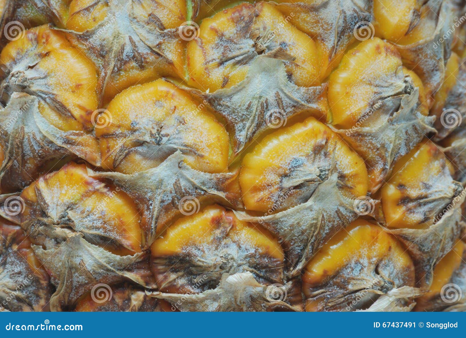 Pineapple details texture stock image. Image of tropical - 67437491