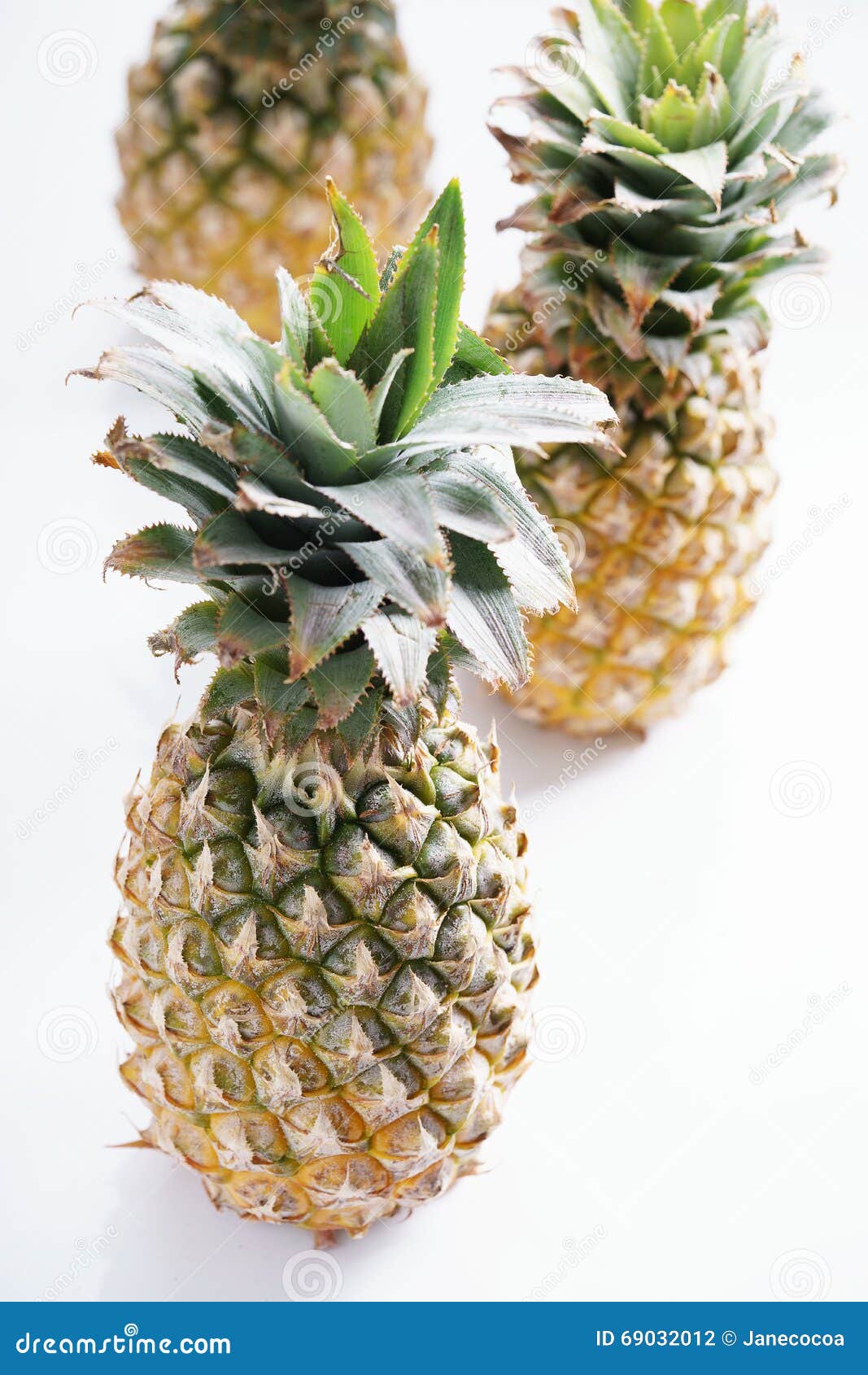 Pineapple. fresh pineapple stock photo. Image of organic - 69032012