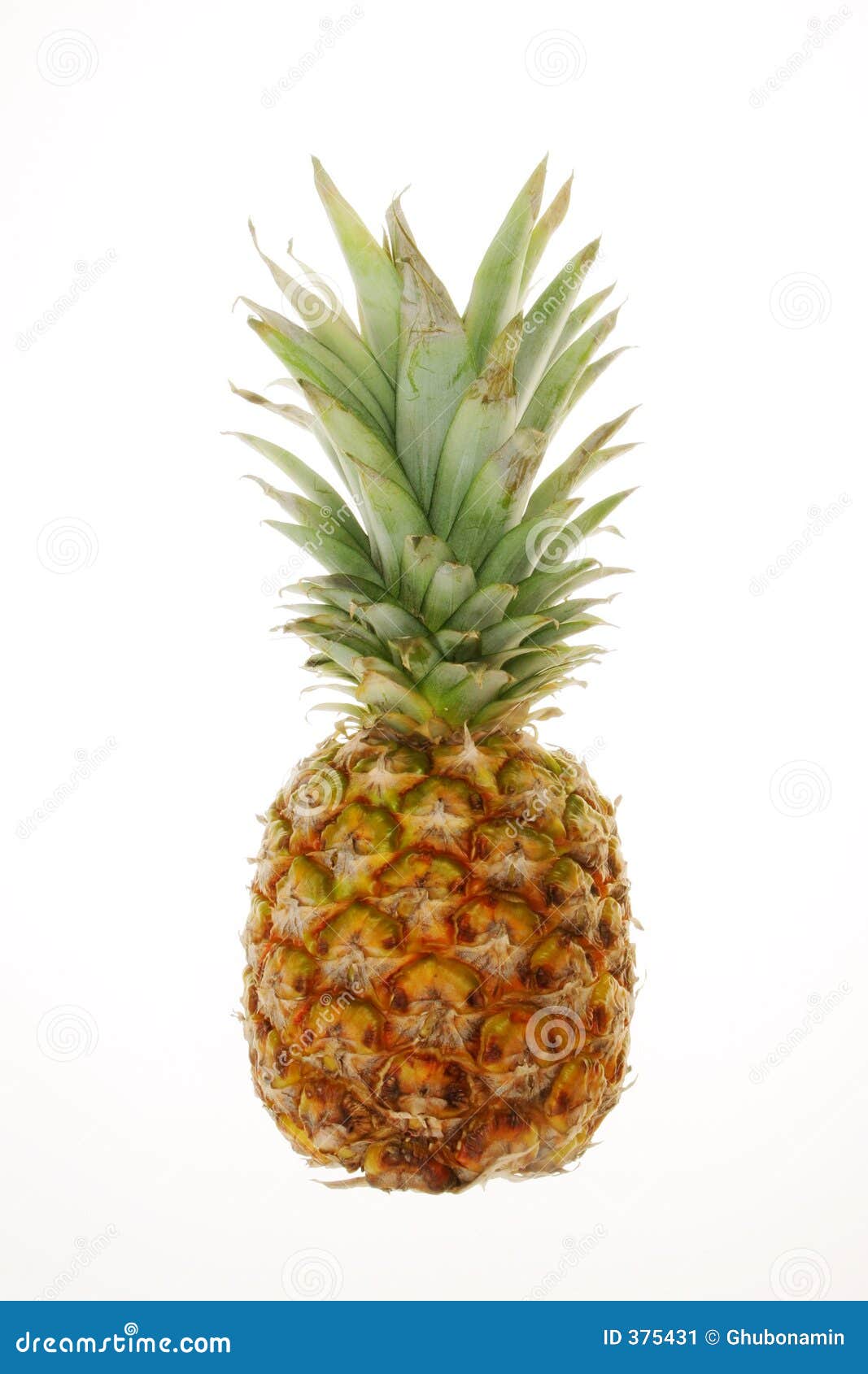Pineapple fruit stock image. Image of nutritious, ripe - 375431