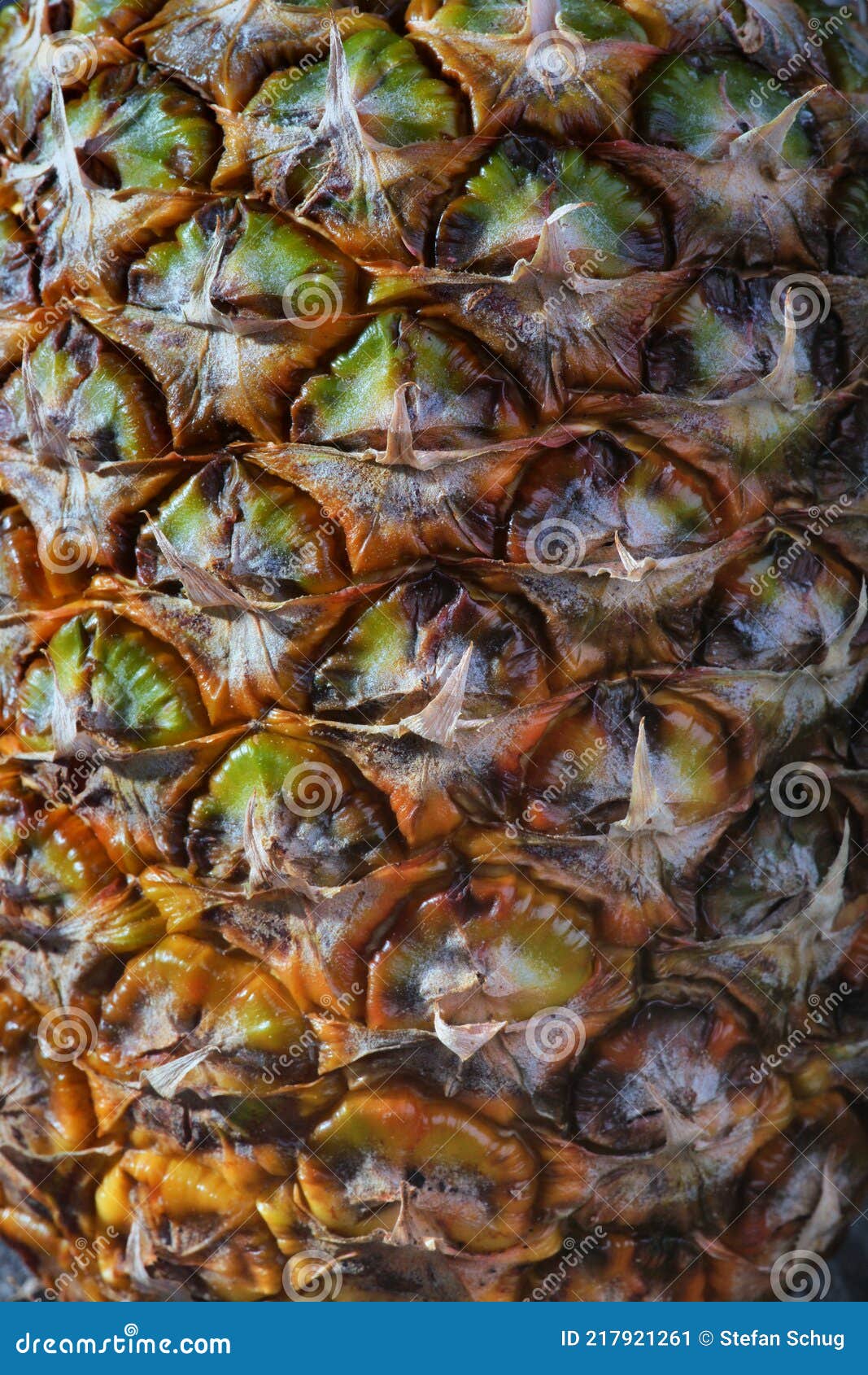 Pineapple Fruit Close-up Structure Stock Image - Image of harvest, barn ...
