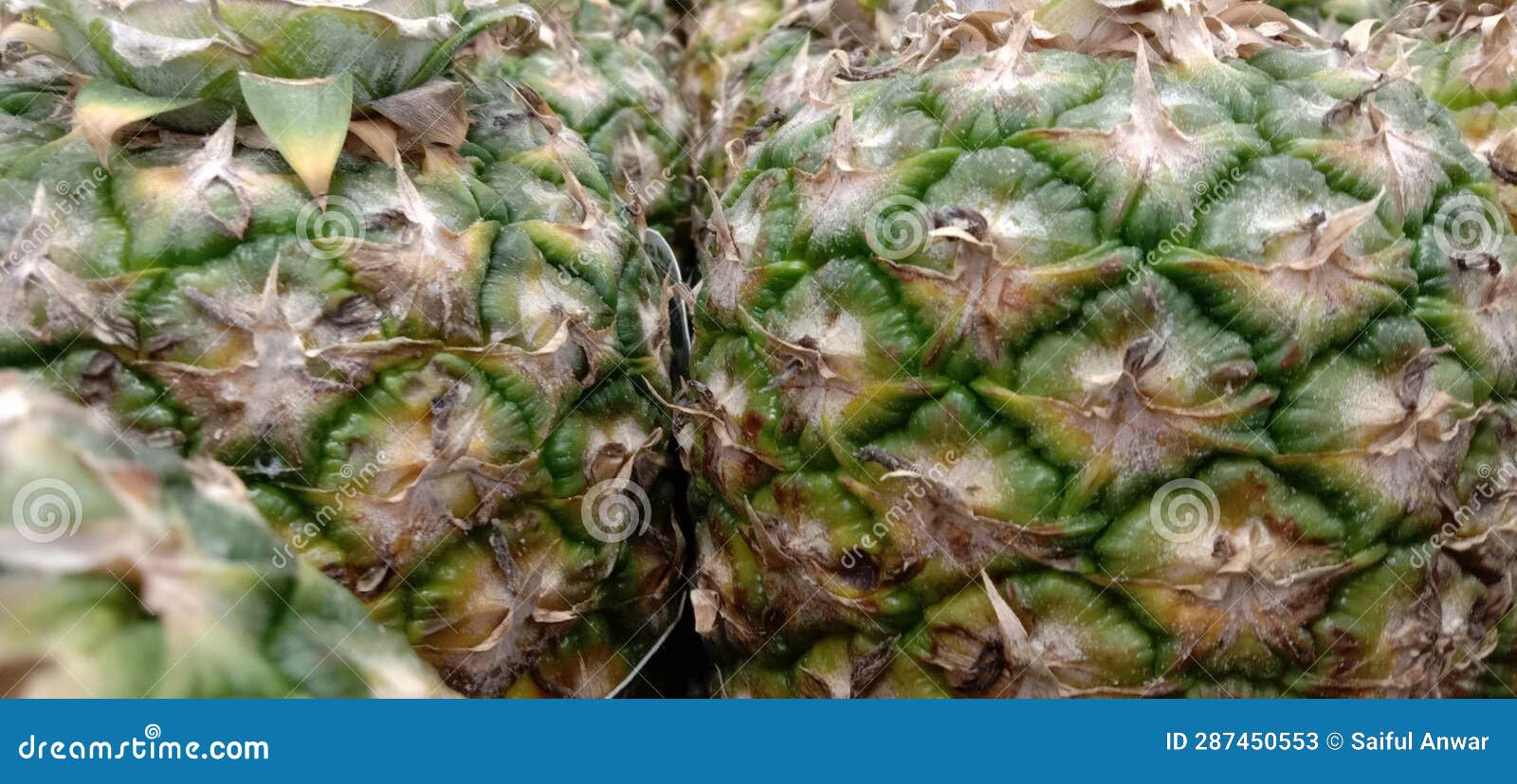 Pineapple Fruit that Looks Fresh Green is a Source of Vitamin C Stock ...