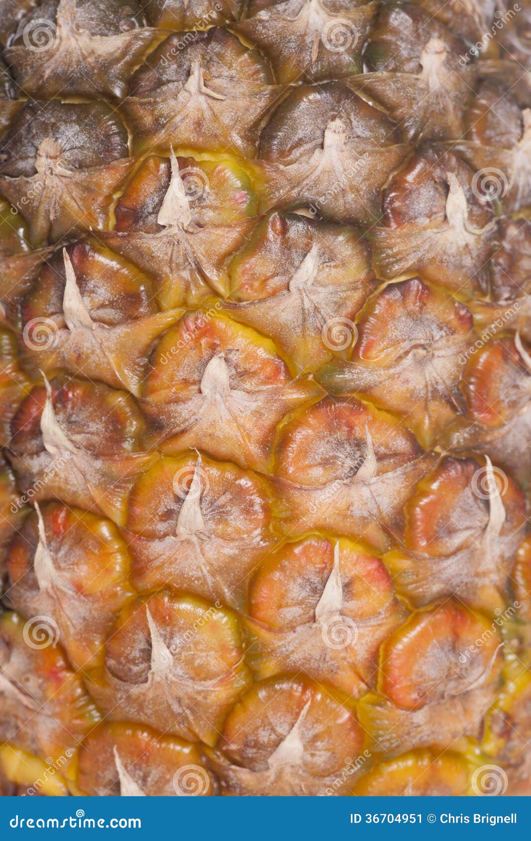 Pineapple Fruit Macro Abstract Stock Image - Image of background ...