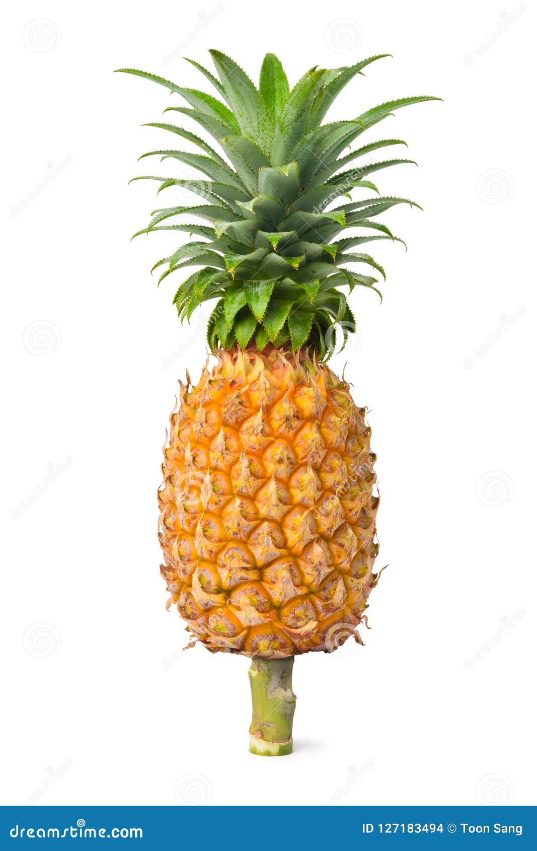 Big Pineapple With Stem On Bright Background Royalty-Free Stock Photo ...