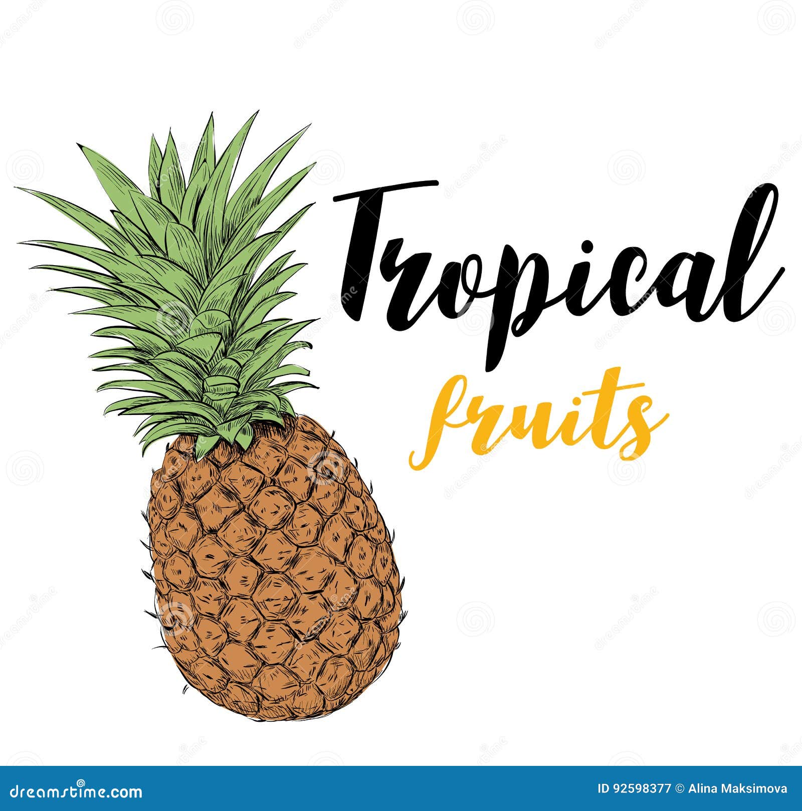 Pineapple Fruit. Summer Sketch Illustration Stock Vector - Illustration ...