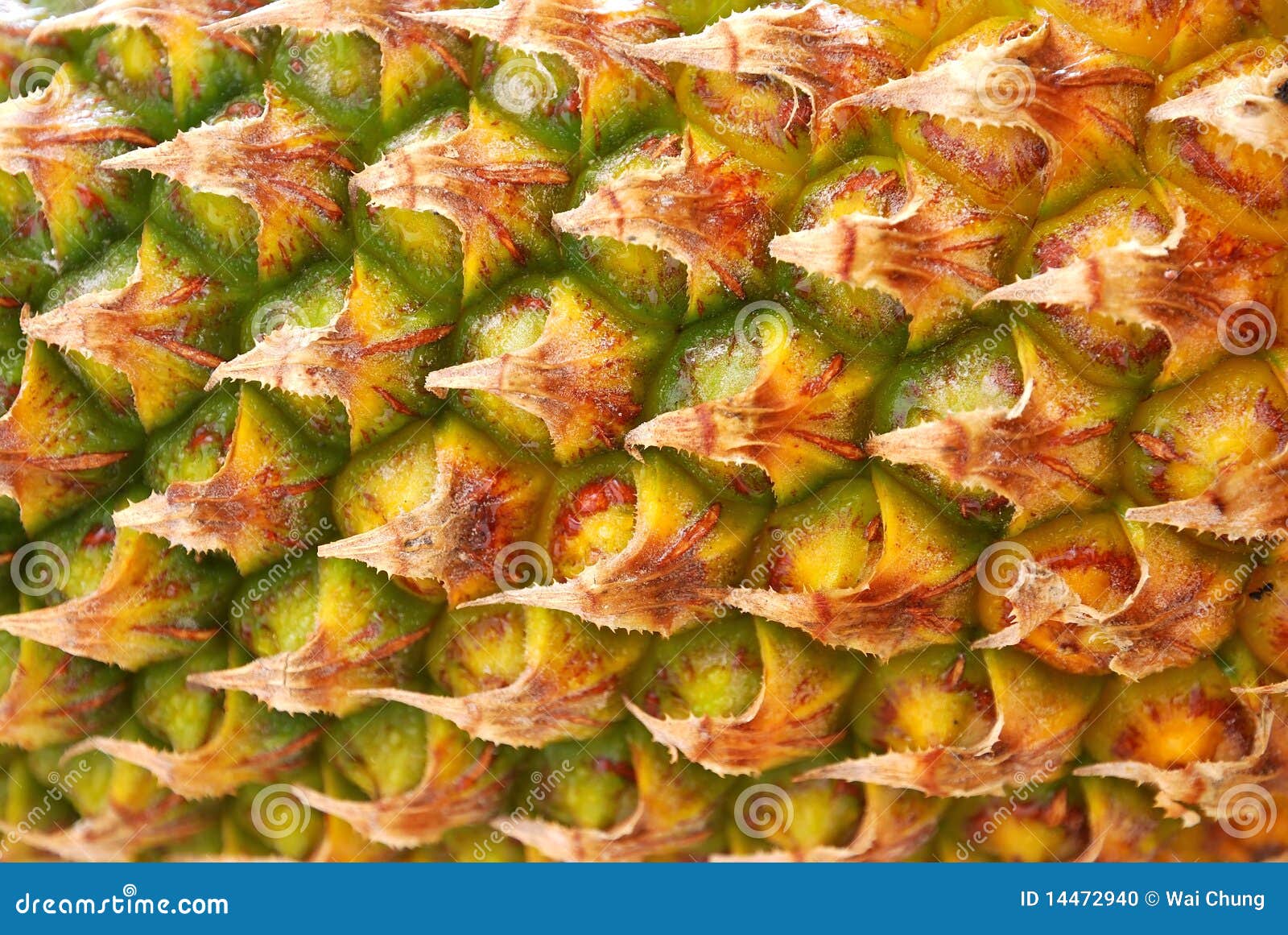 Fruit Texture. Stock Image | CartoonDealer.com #14613307