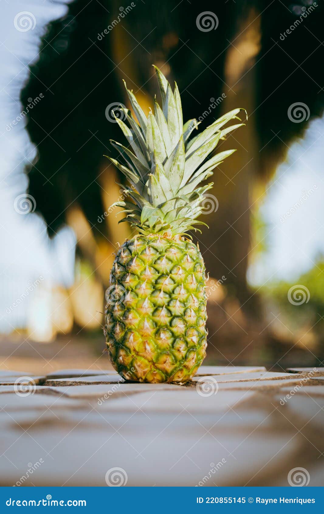 Pineapple Fruit Wallpaper Backround Stock Image - Image of nature ...