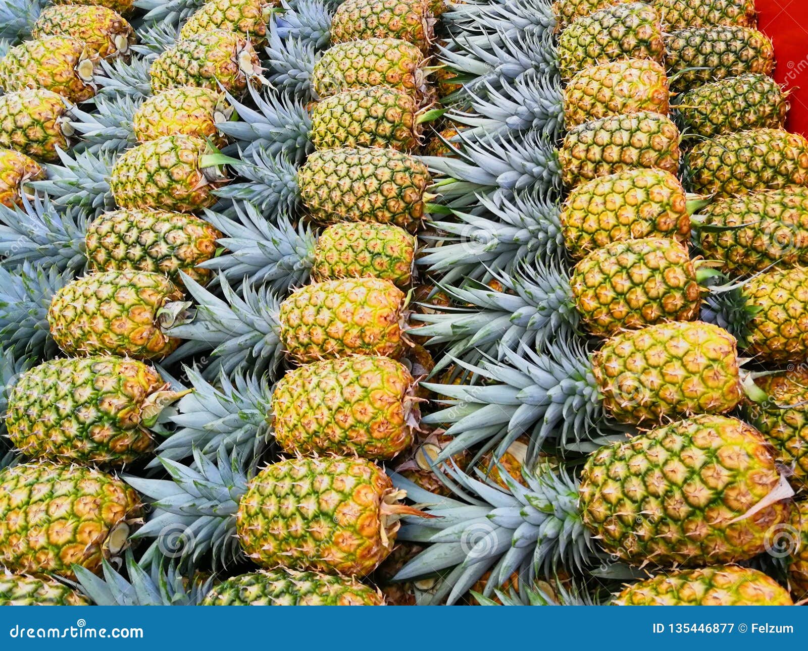 Pineapple. Golden Tropical Fruit Stock Image - Image of tropics ...