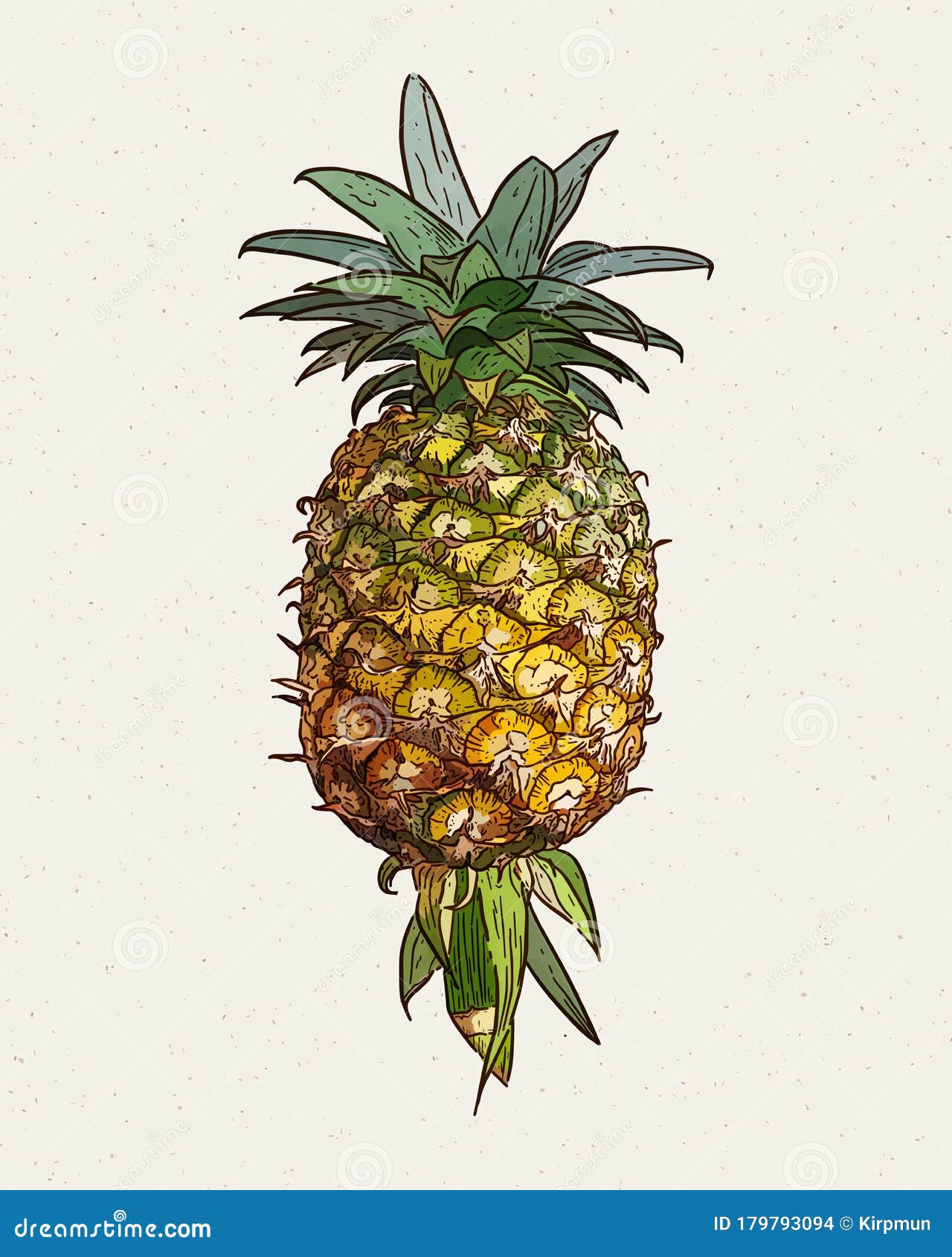 Pineapple, Hand Draw Sketch Vector Stock Vector - Illustration of ...