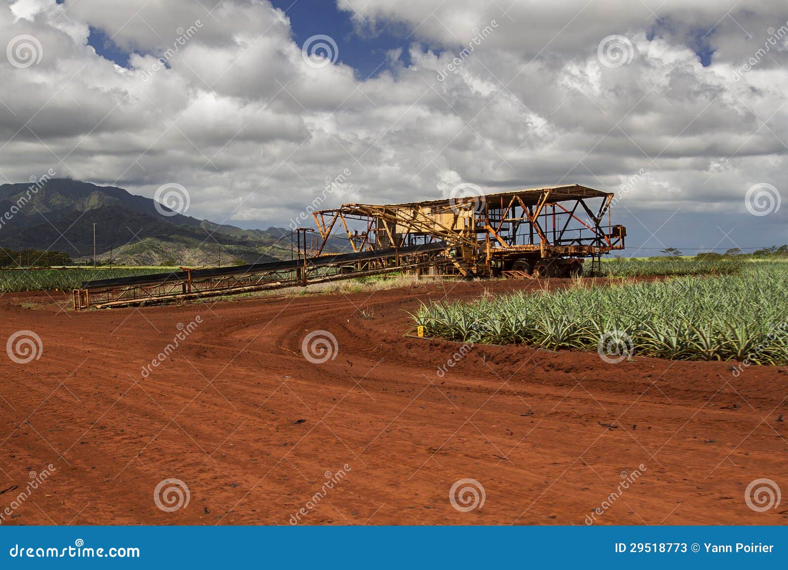 Pineapple harvest machine stock image. Image of garden - 29518773
