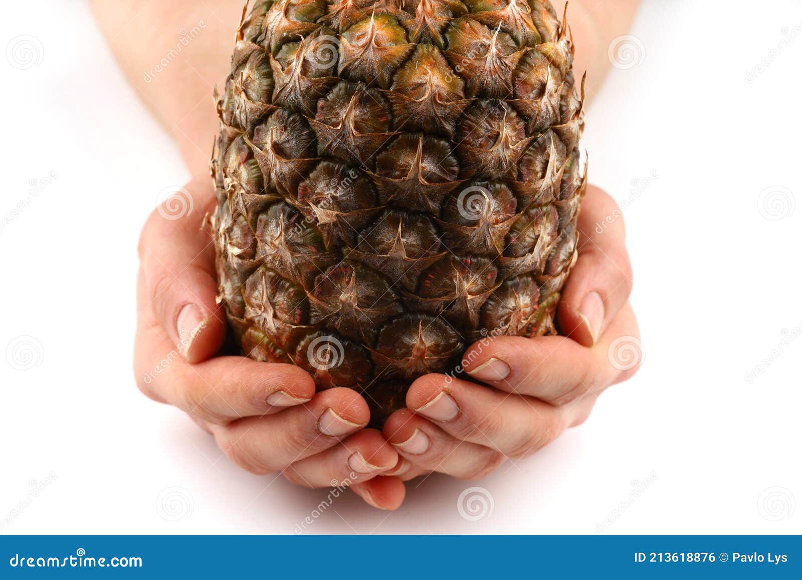 Pineapple in Human Hands Closeup Stock Photo - Image of ripe, fruit ...